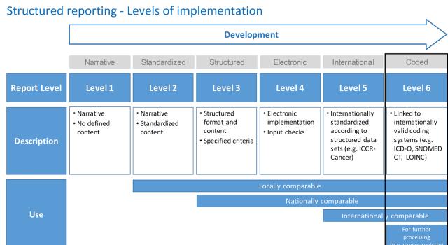 Celerato AG - Venture Kick