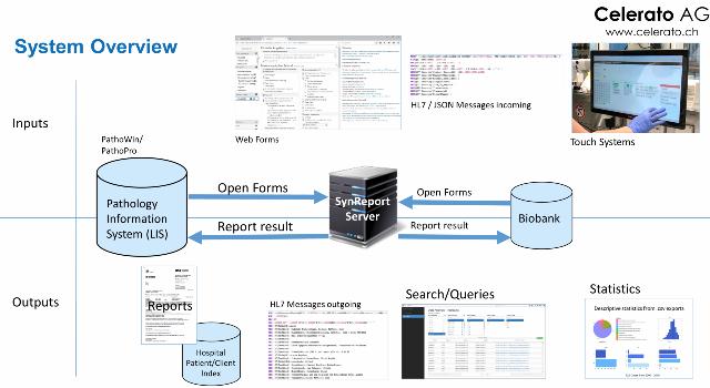 Celerato AG - Venture Kick