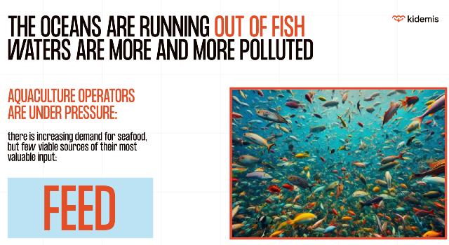 Kidemis AG - Venture Kick